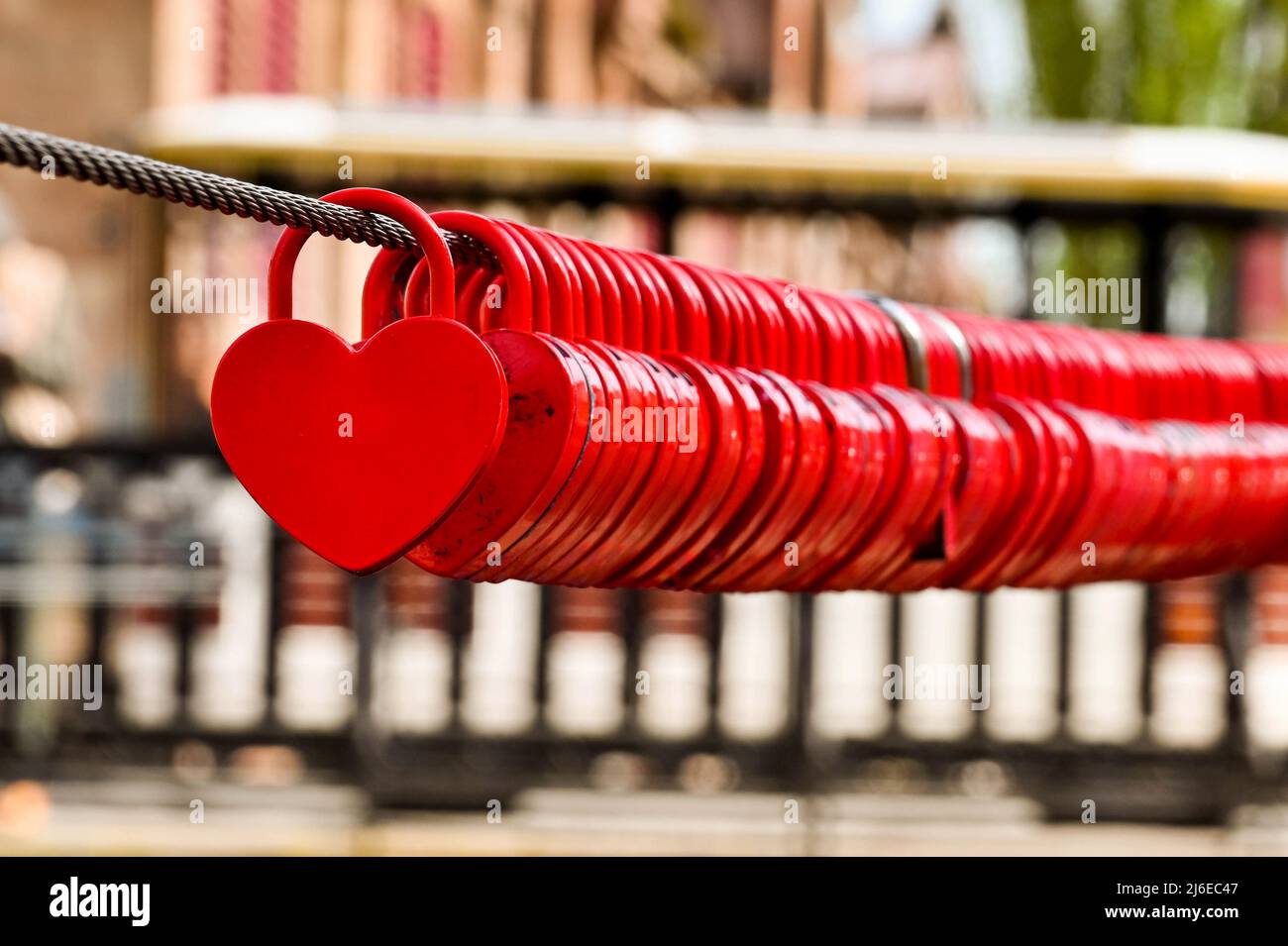 Row of small red heart shaped metal locks locked to a steel cable. No ...