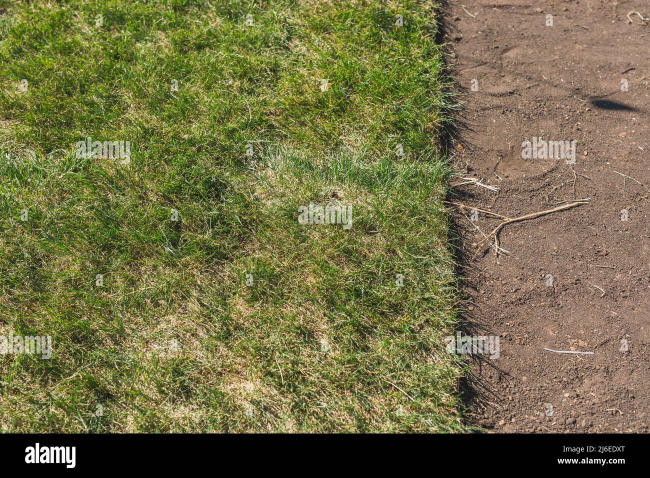 Installing new grass turfs from a roll - Garden building theme Stock ...