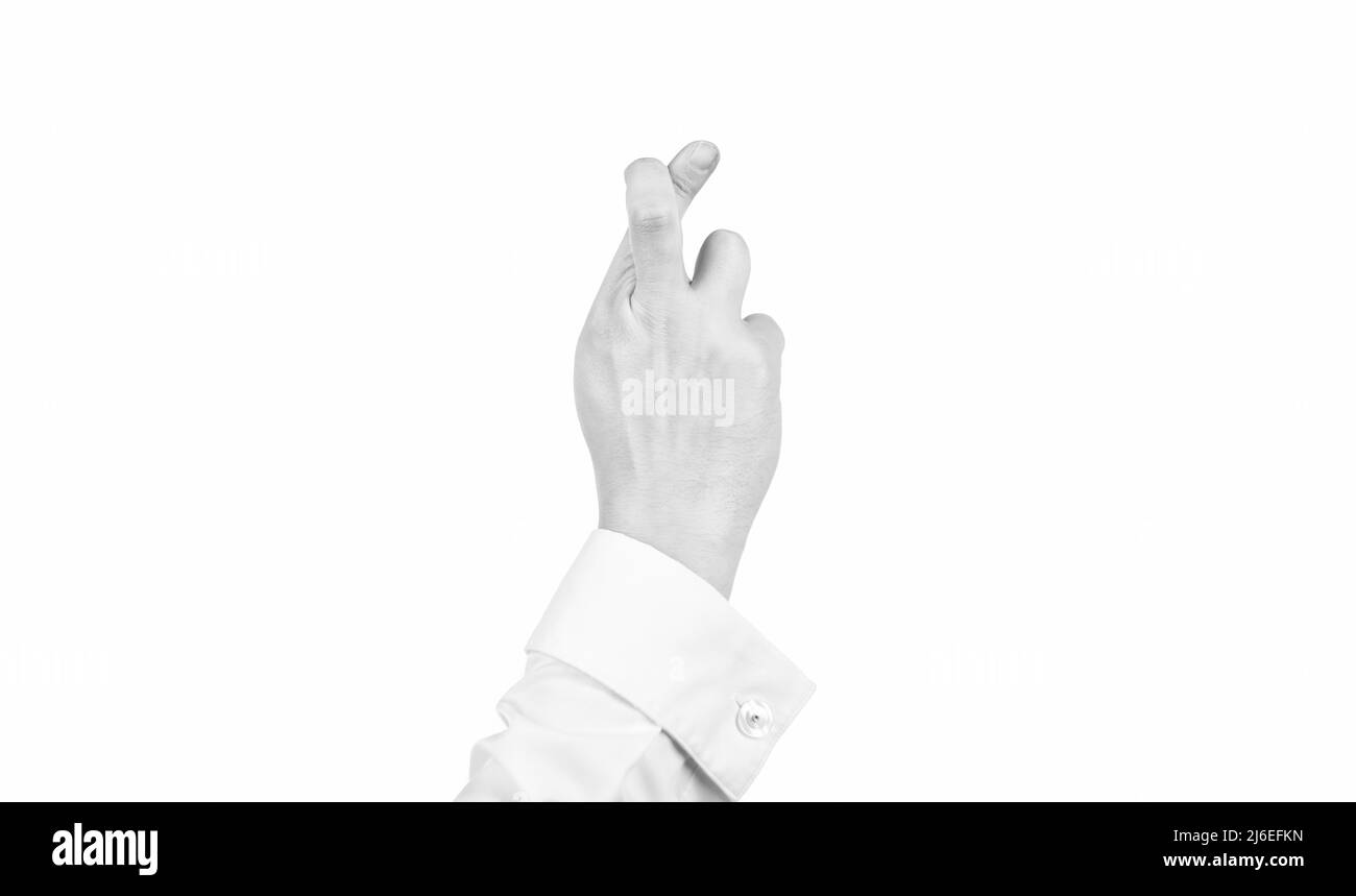 crossed fingers gesture of make a wish with male hand isolated on white ...