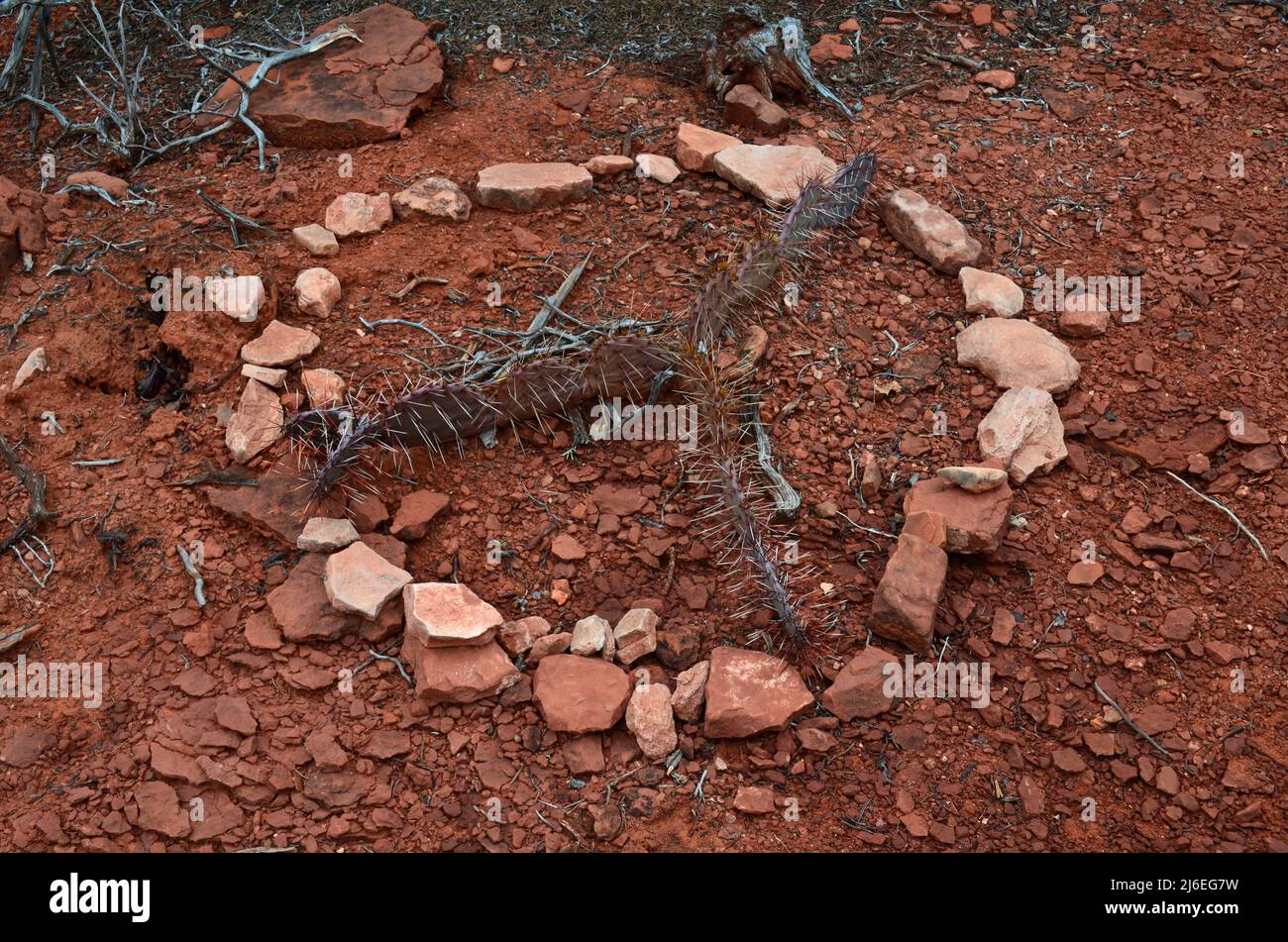 Peace symbol made of rocks and cacti in the Sedona Arizona Desert Stock ...