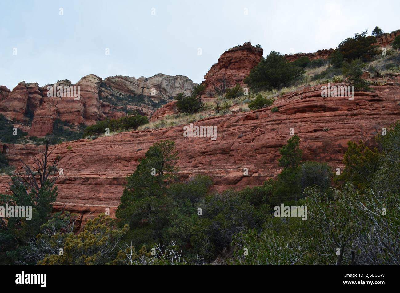 Beautiful steep rugged red rock formation in Sedona Arizona with trees ...