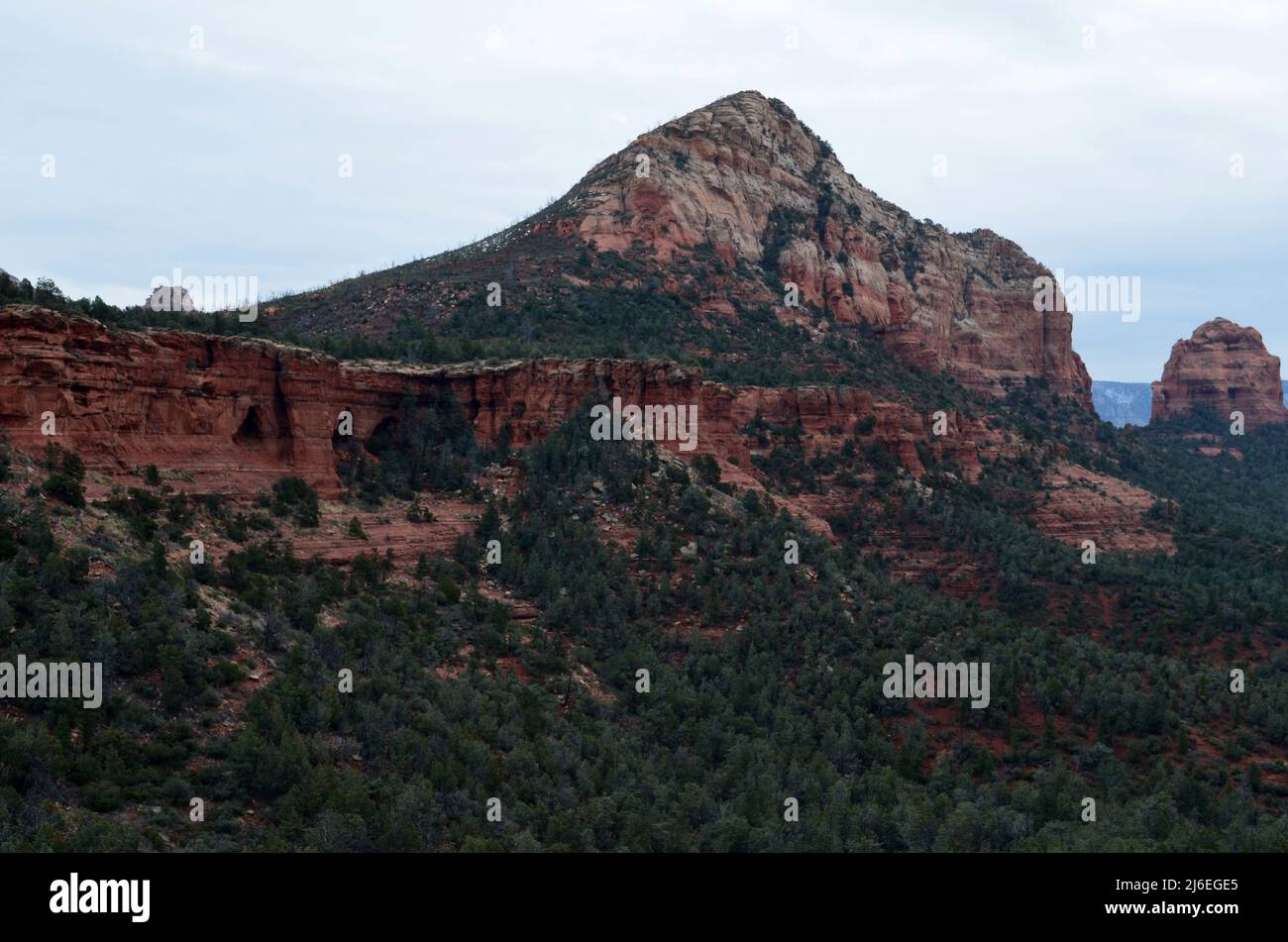 Evergreen trees growing a red rock butte in Sedona Arizona Stock Photo ...