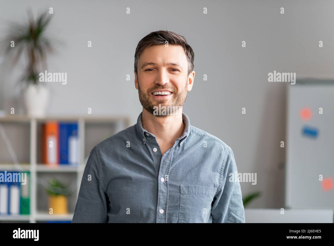 Closeup portrait of mature businessman posing at office, handsome ...