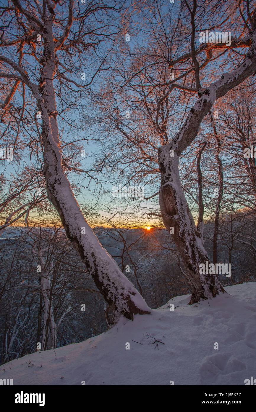 Sunset in Sabaduri forest, beautiful winter landscape. Georgia Stock ...