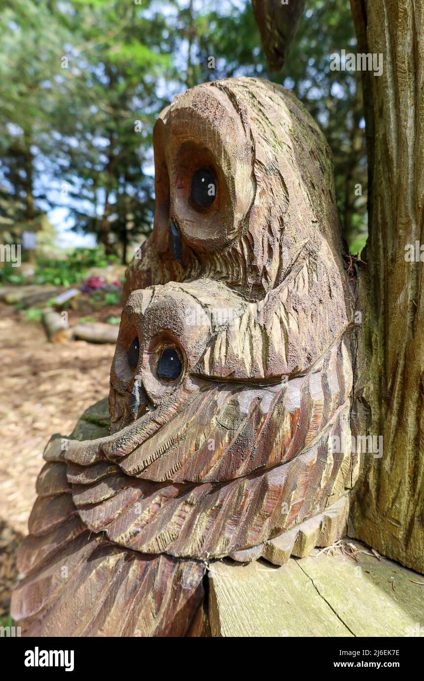 Log carving hi-res stock photography and images - Alamy