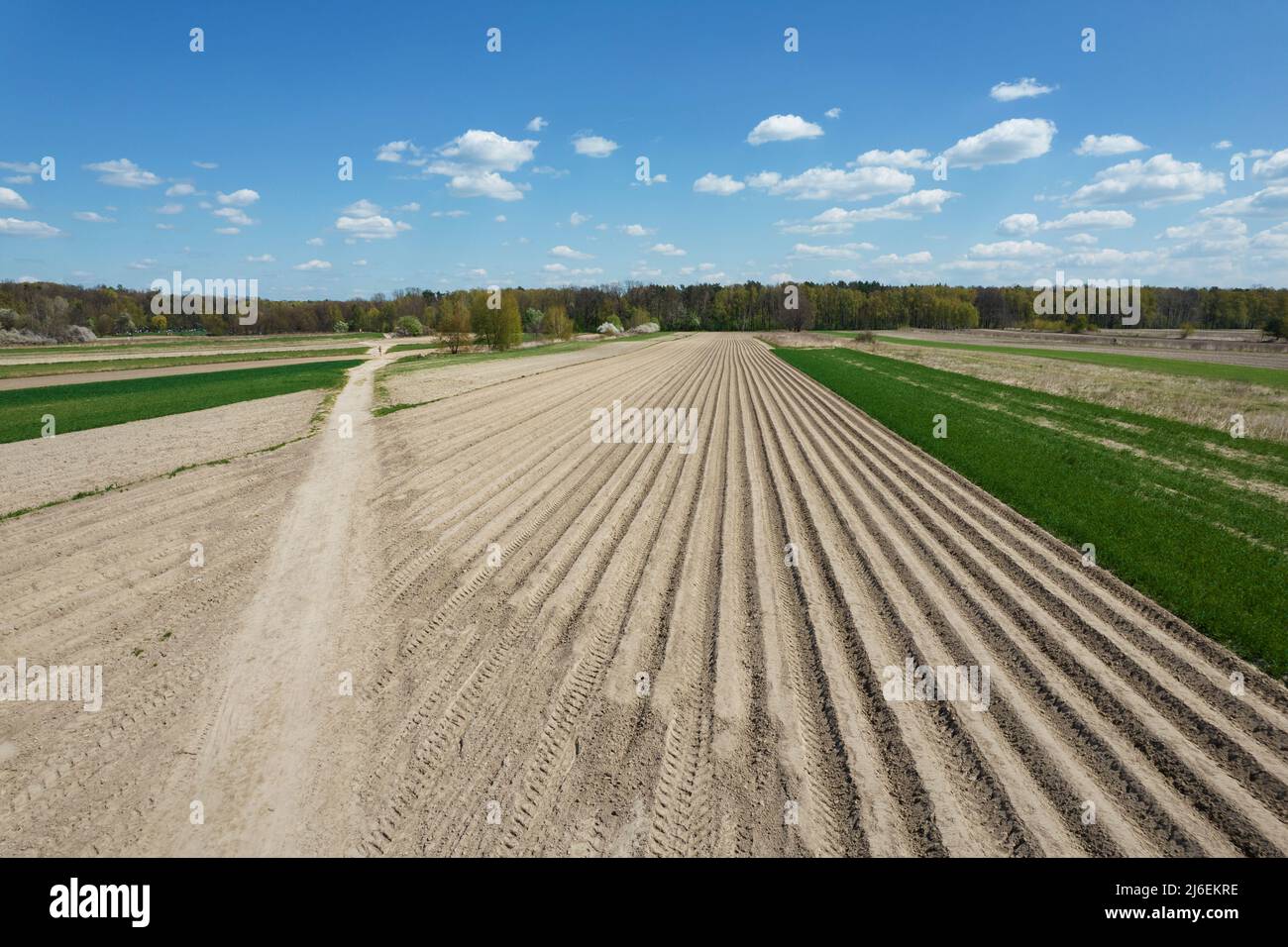 Country path crossing farmland Stock Photo - Alamy