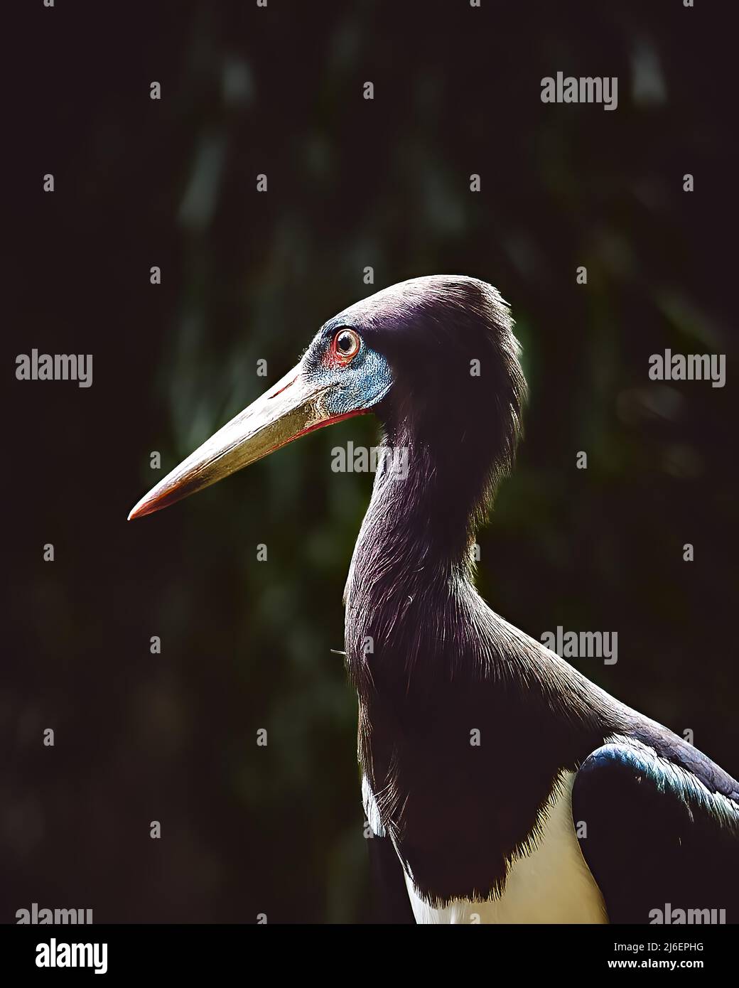 Good behavior hi-res stock photography and images - Alamy