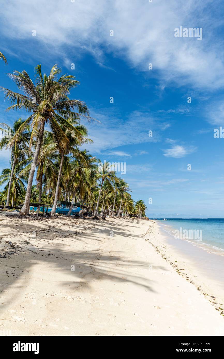 White sand Nemberala Beach with palm trees on Rote Island, East Nusa ...