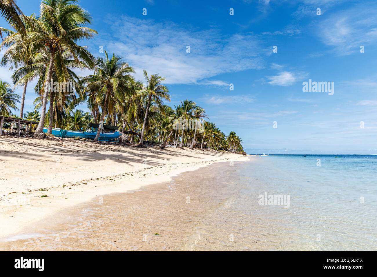 White sand Nemberala Beach with palm trees on Rote Island, East Nusa ...