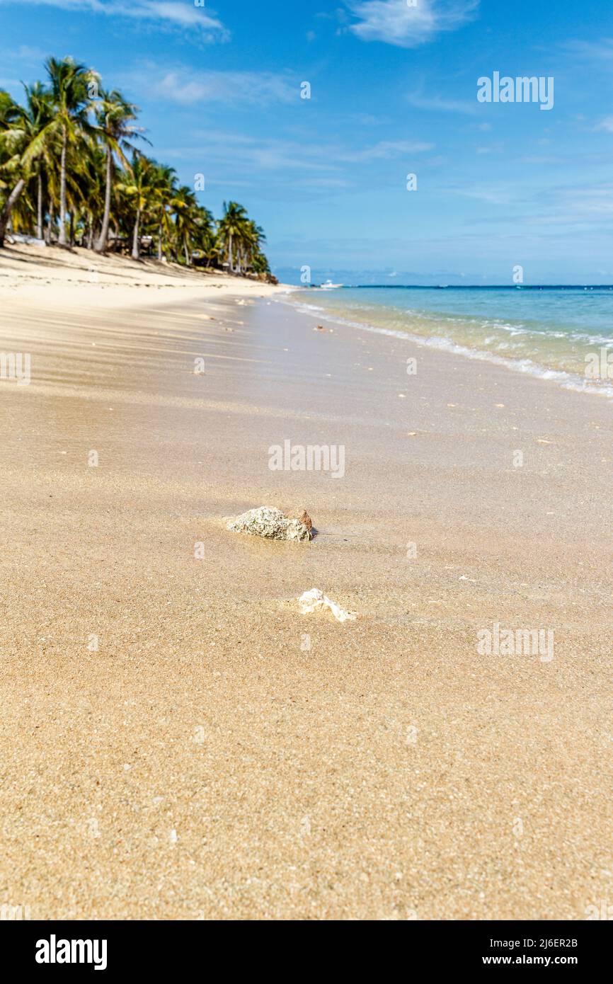 White sand Nemberala Beach with palm trees on Rote Island, East Nusa ...