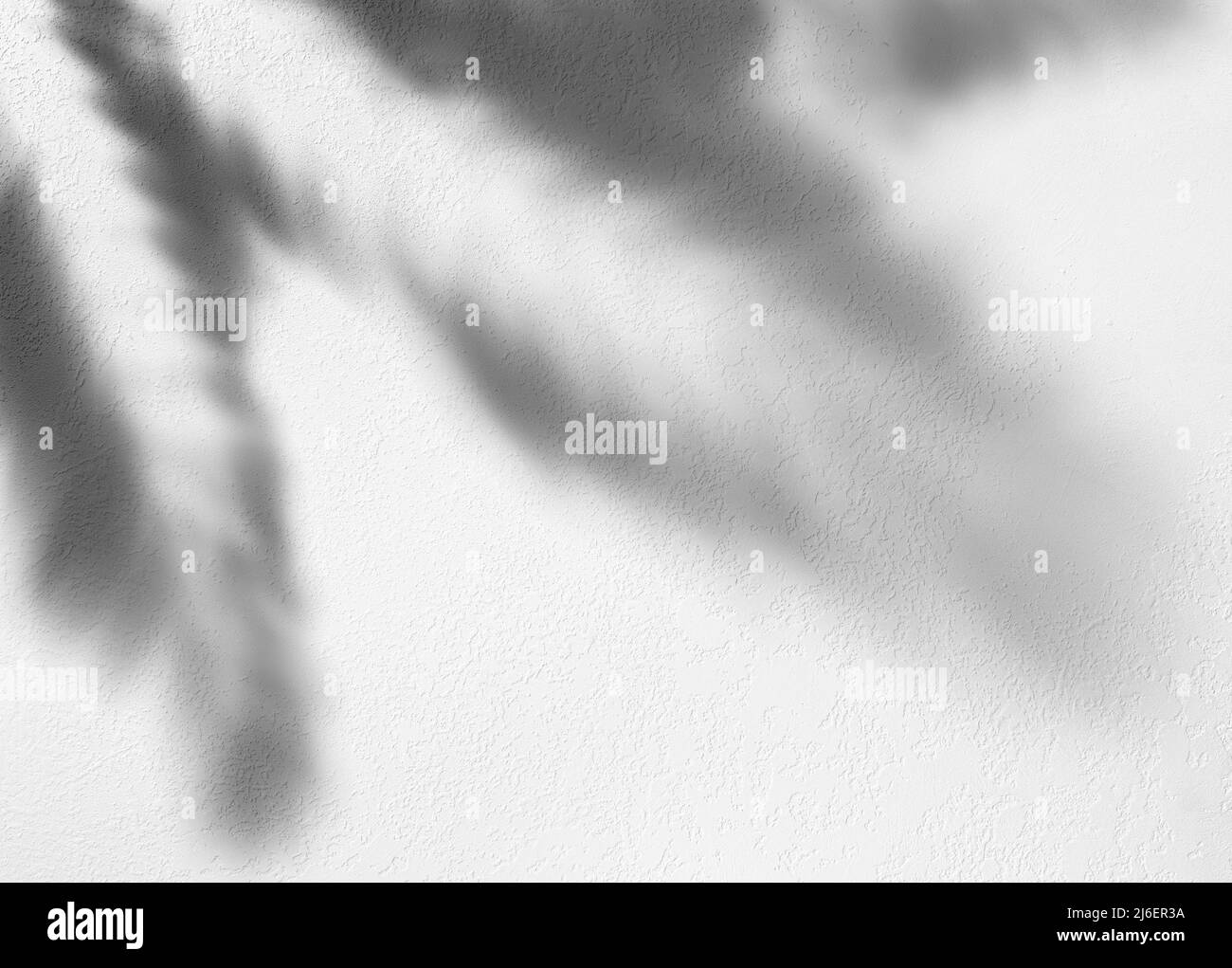 Abstract white shadow background of natural palm leaves Stock Photo - Alamy