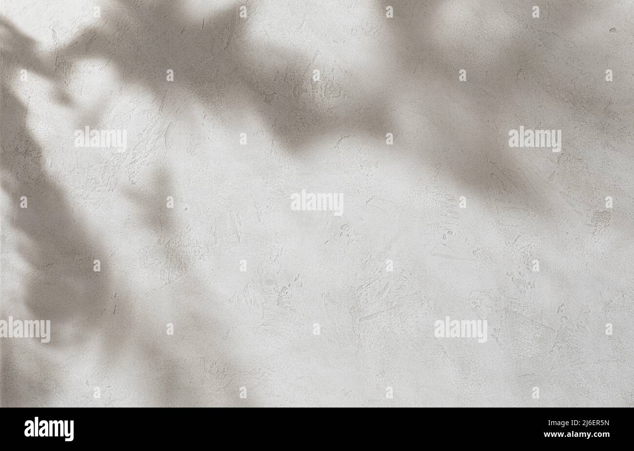 White paper texture background with tropical leaves shade Stock Photo ...