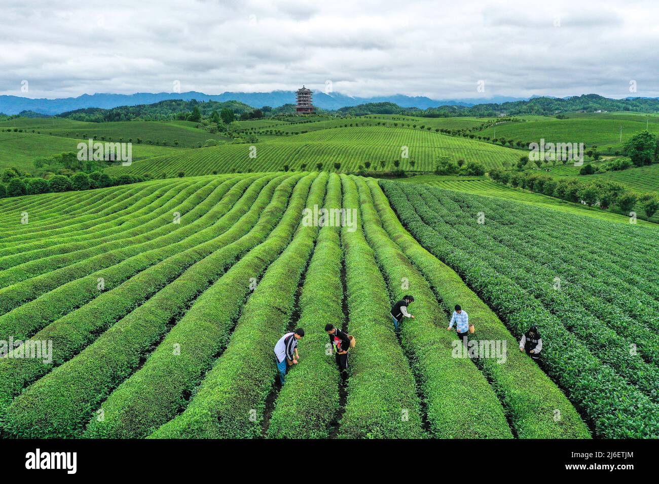 (220501) -- MEITAN, May 1, 2022 (Xinhua) -- In this aerial photo, Guo ...