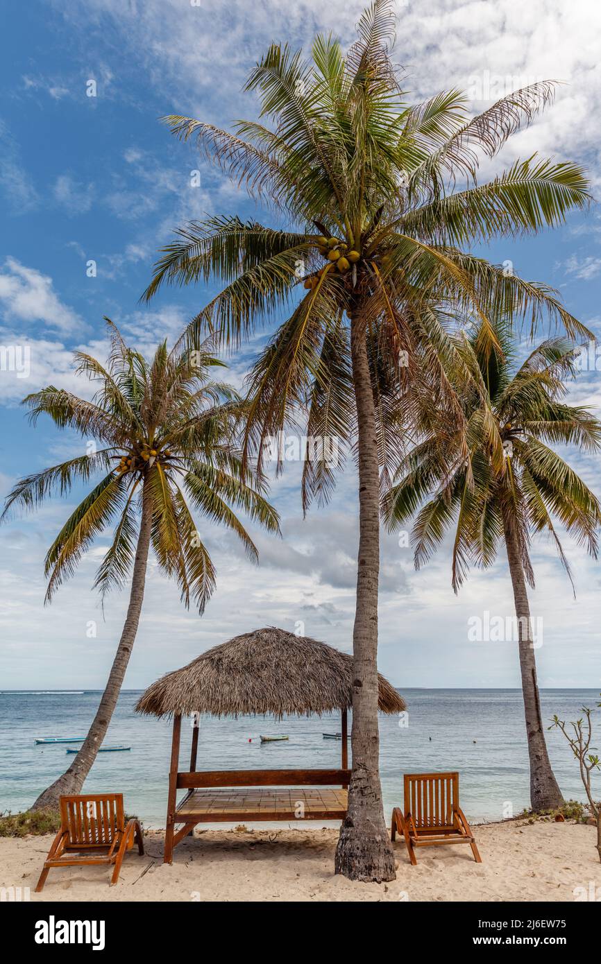 View of white sand Nemberala Beach with a bale and palm trees. Rote ...