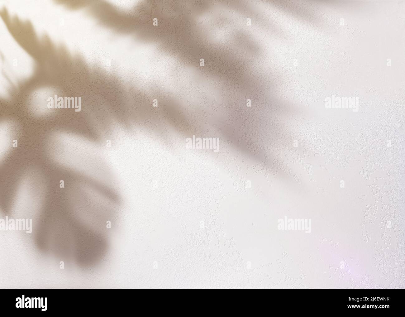 Abstract shadow texture background with tropical leaves and light Stock ...