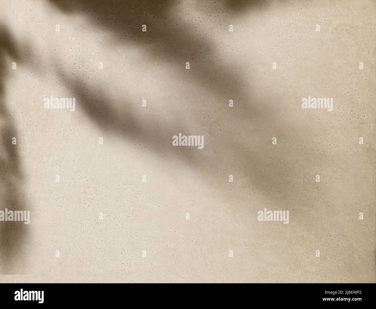 Stone wall background with tropical leaves reflection Stock Photo - Alamy