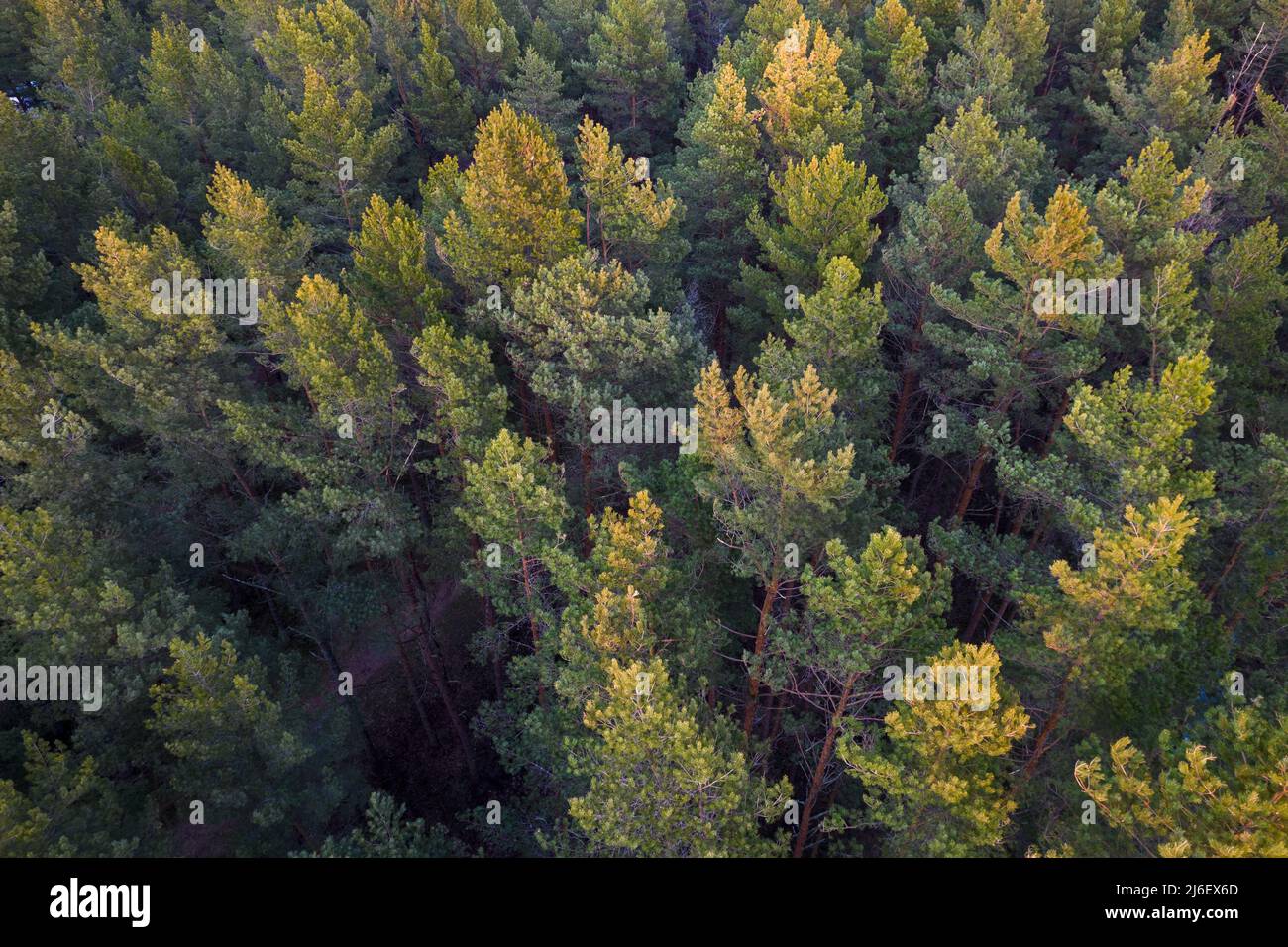 Golden earth aerial hi-res stock photography and images - Alamy