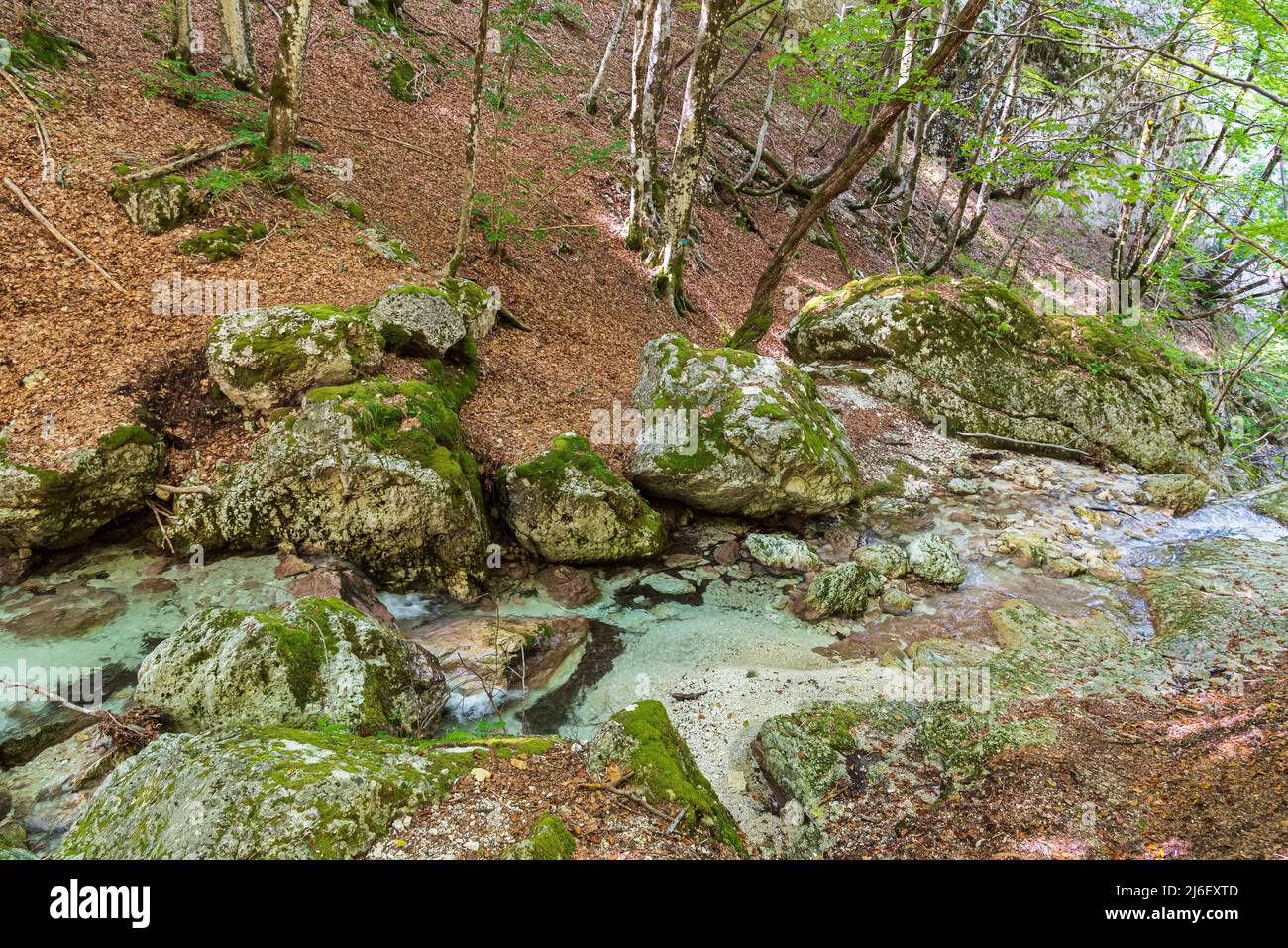 La Camosciara is an extensive nature reserve with trails for ...