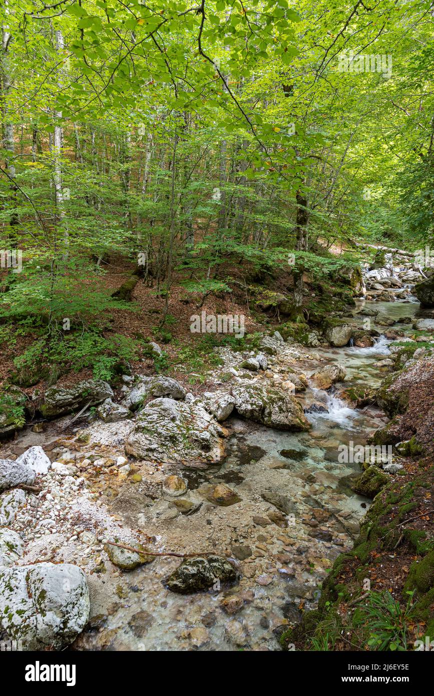 La Camosciara is an extensive nature reserve with trails for ...