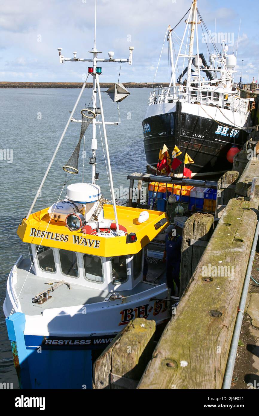 Fishing Boats at Amble Harbour, Northumberland Spring 2022 Stock Photo ...