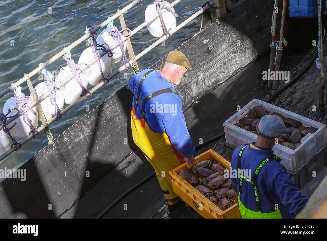 Fishing Boats at Amble Harbour, Northumberland Spring 2022 Stock Photo ...