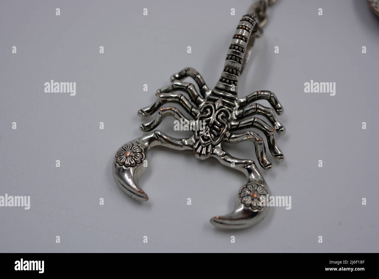 Silver scorpion hi-res stock photography and images - Alamy