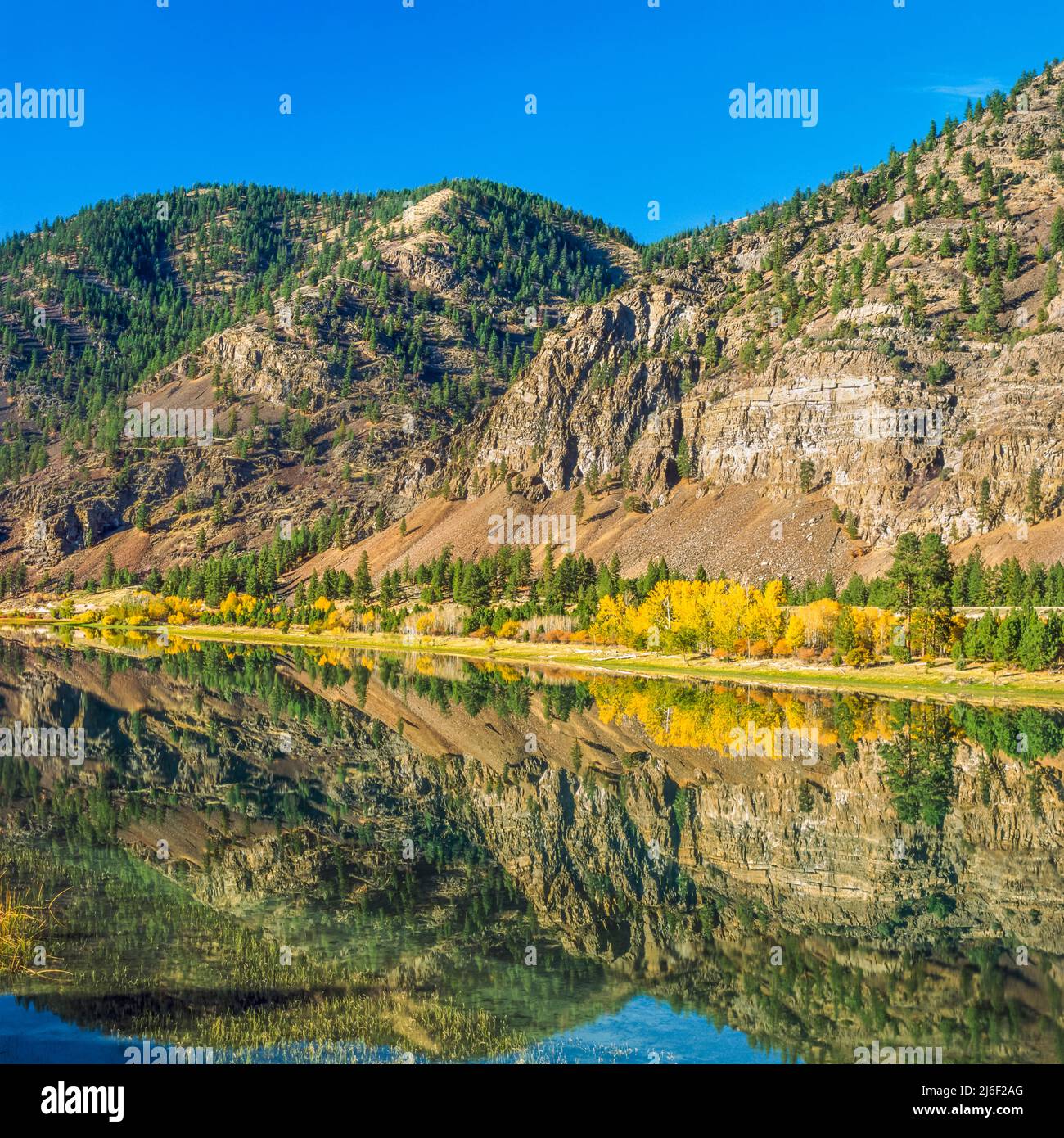 Mt 7262 hi-res stock photography and images - Alamy