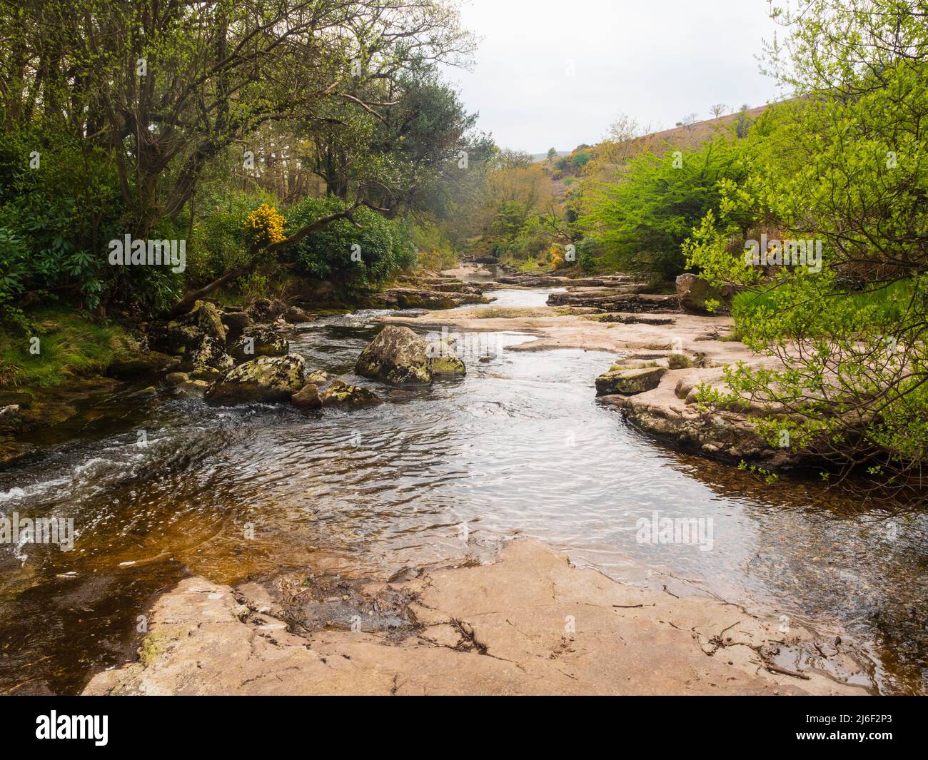 Spring view of the River Avon, Dartmoor, Devon, UK on the section ...