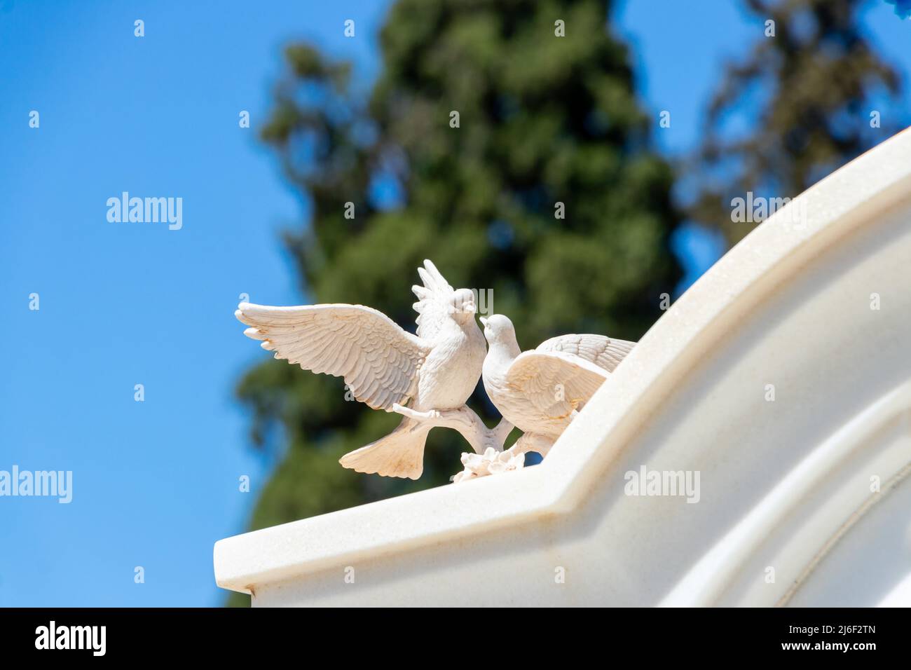 two white doves on grave headstone in seville cemetery cementerio de ...
