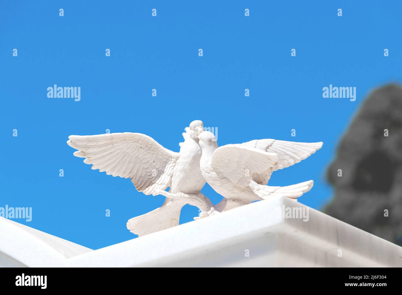 two white doves on grave headstone in seville cemetery cementerio de ...