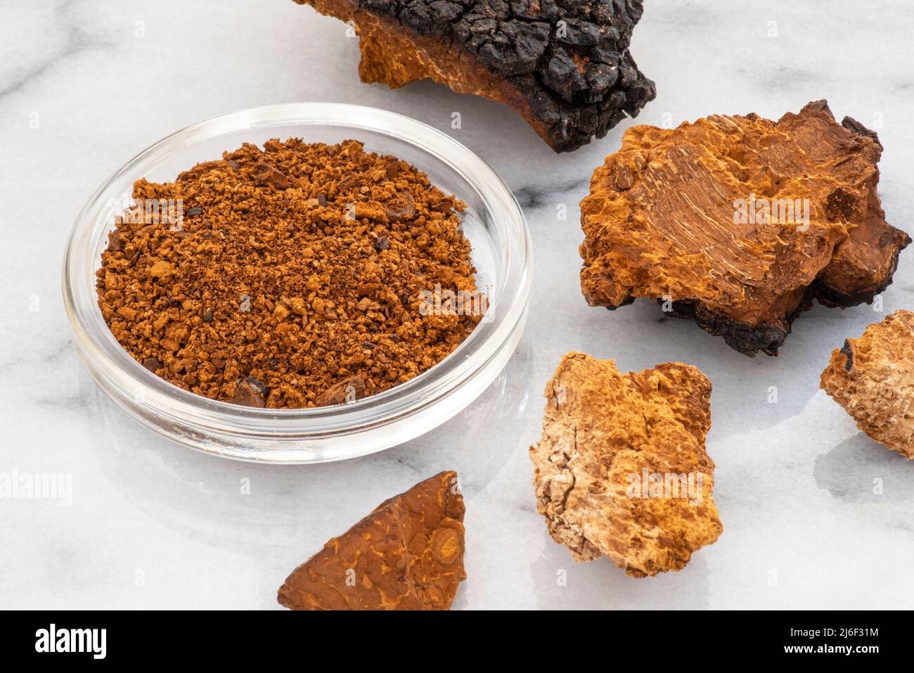 Close-up of chaga mushroom pieces, powder and infusion in a cup Stock ...