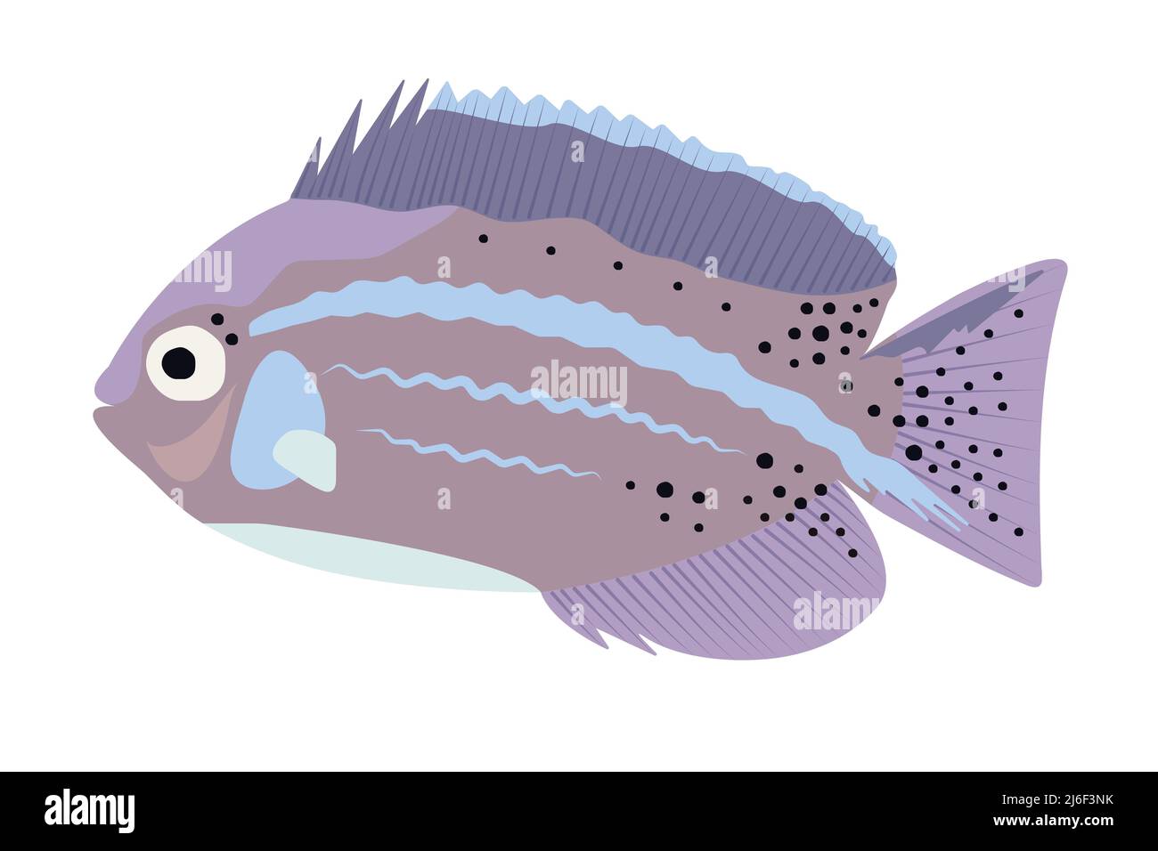 Colorful angelfish, cute vector illustration Stock Vector Image & Art ...