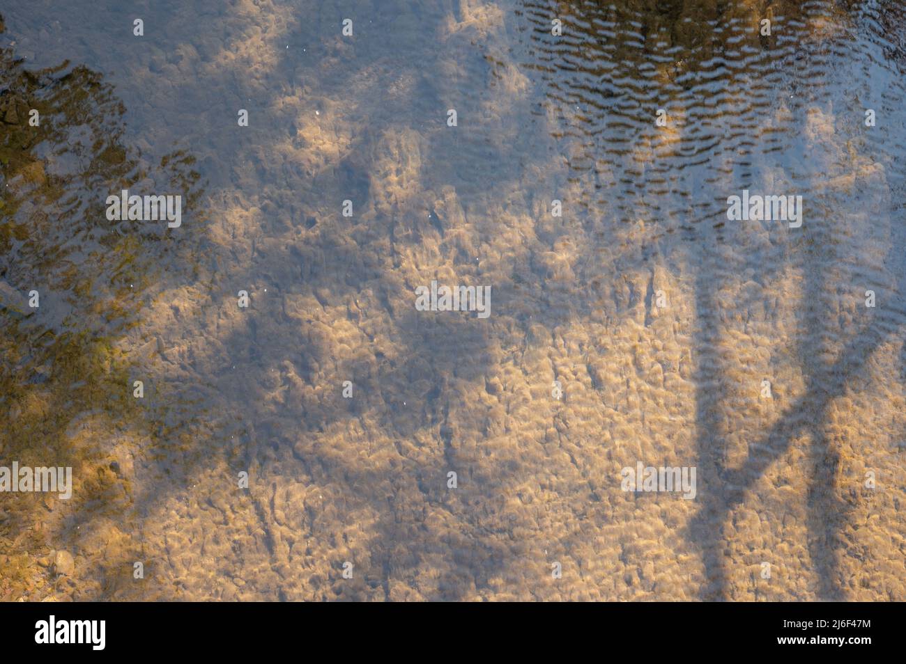 Algae uk phosphate hi-res stock photography and images - Alamy
