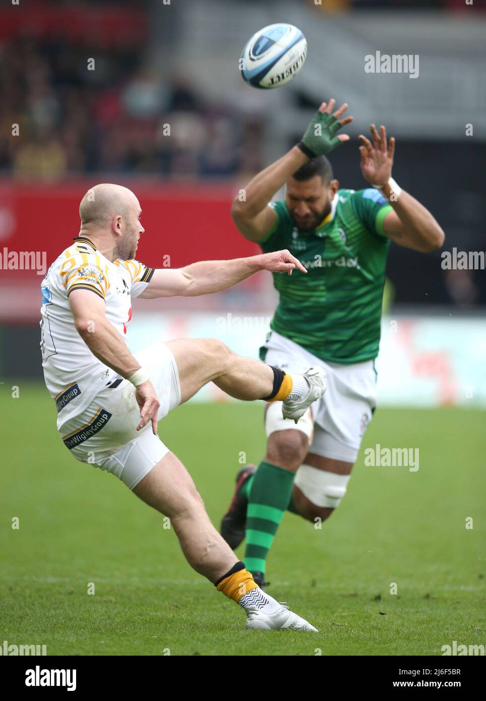 Dan robson wasps 2022 hi-res stock photography and images - Alamy
