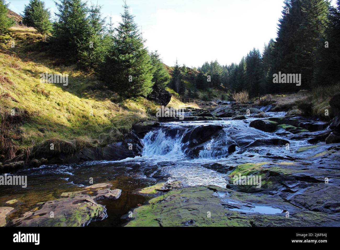 Glen afton spring hi-res stock photography and images - Alamy
