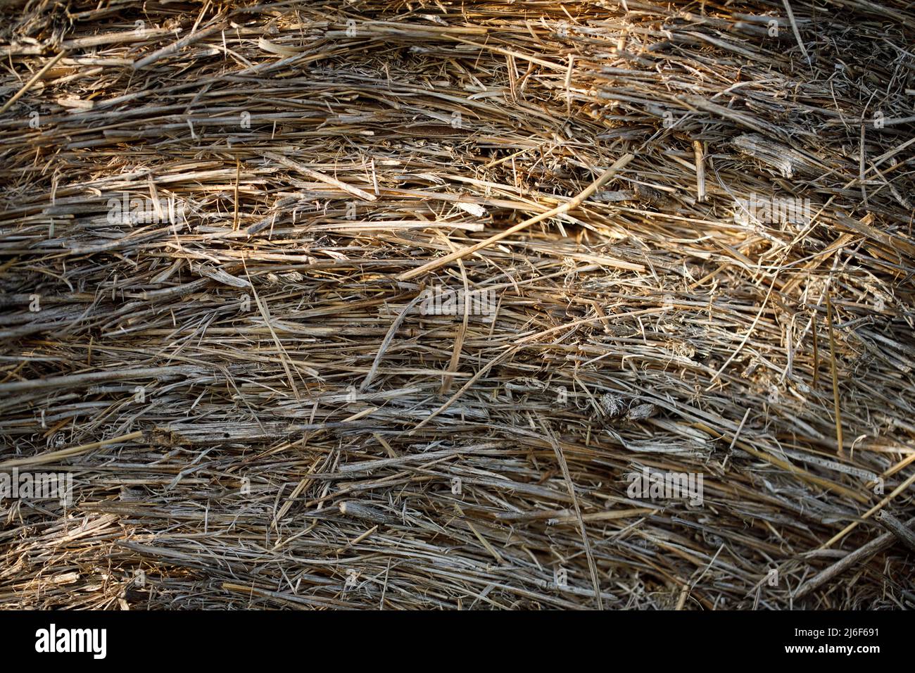 Texture: Side View Of Hay Bale Stock Photo - Alamy