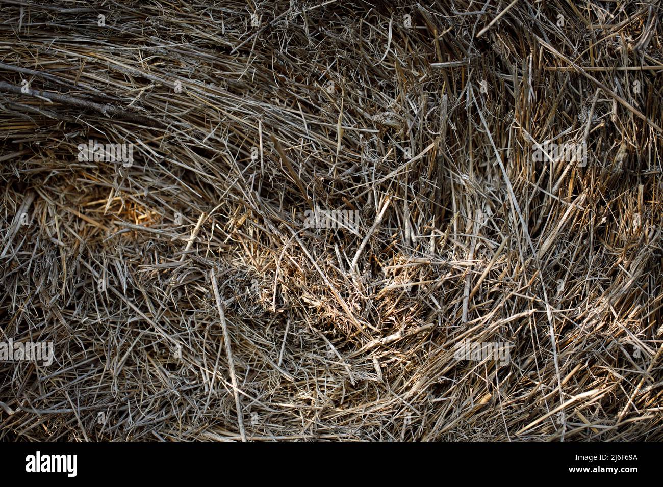 Straw bale texture hi-res stock photography and images - Alamy