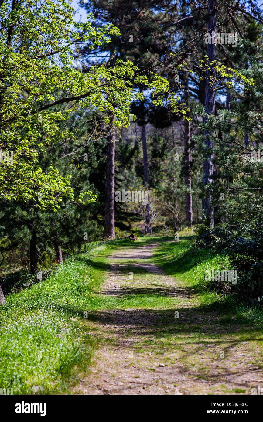 Rural landscape with old stairway or pathway Stock Photo - Alamy