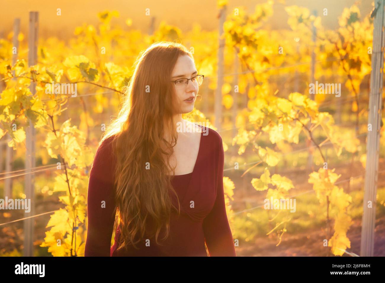 Sun Shining Behind Teenage Girl With Glasses And Long Hair Standing In A Vineyard With Yellow