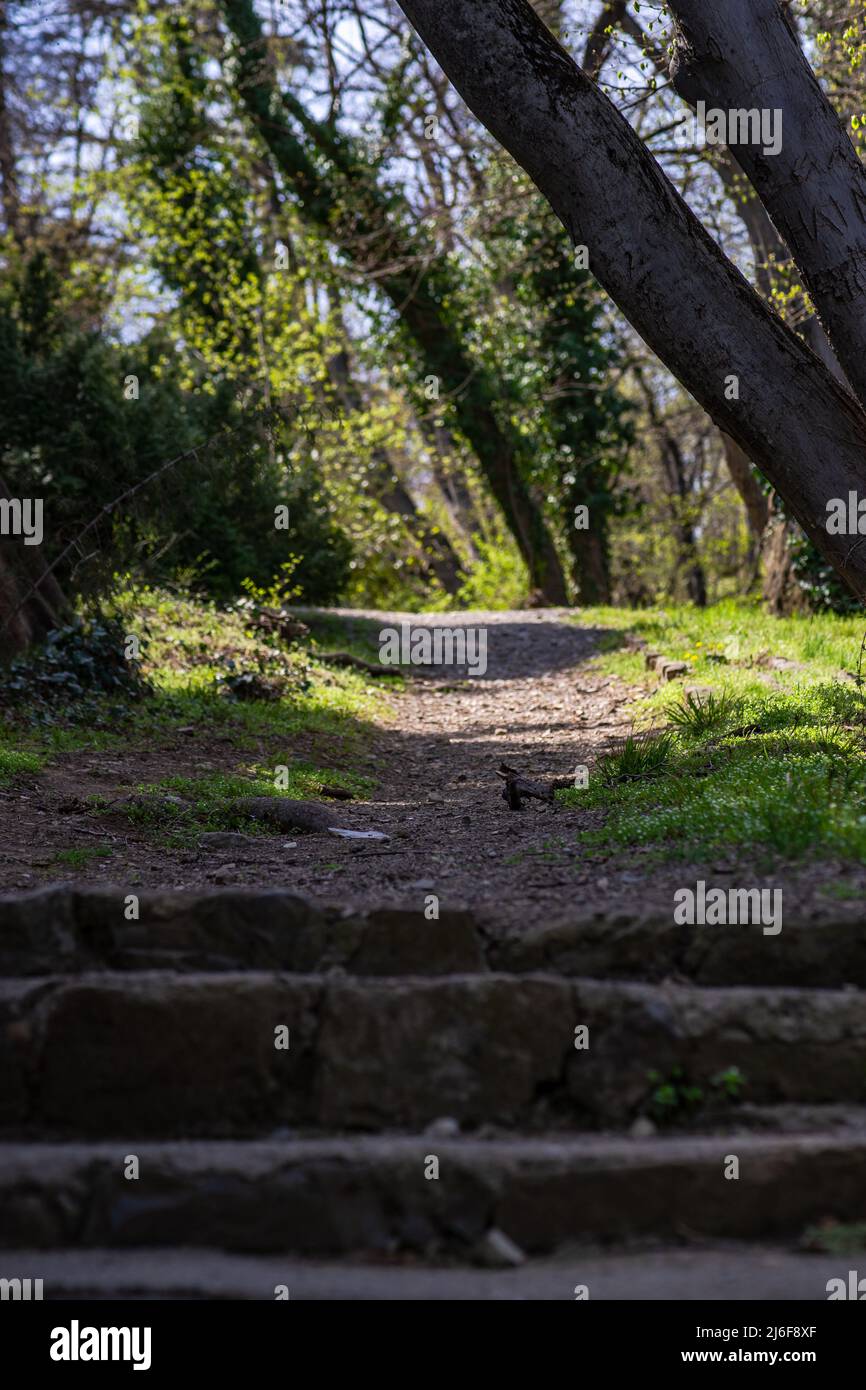 Rural landscape with old stairway or pathway Stock Photo - Alamy