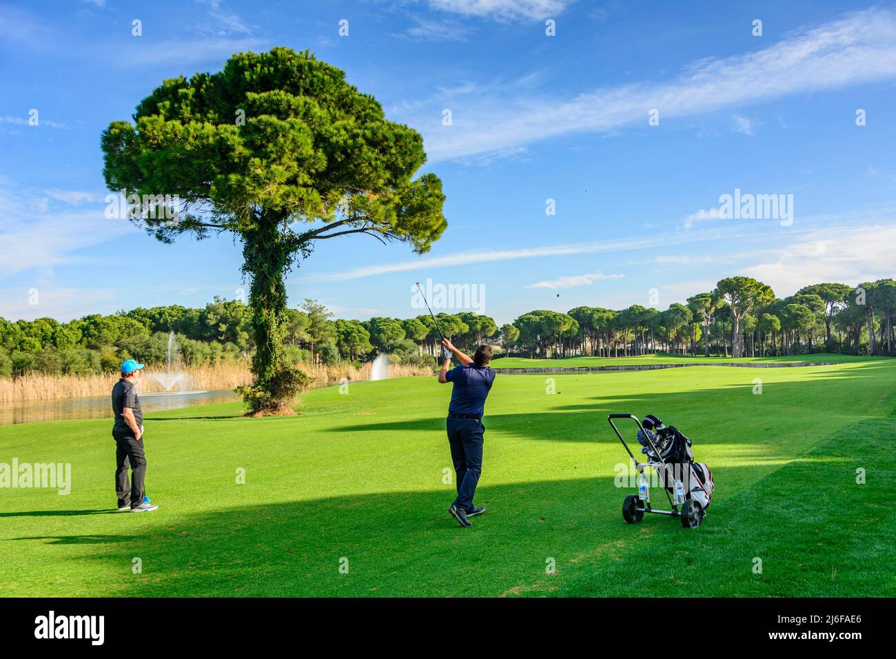 Golf players on fairway Stock Photo - Alamy