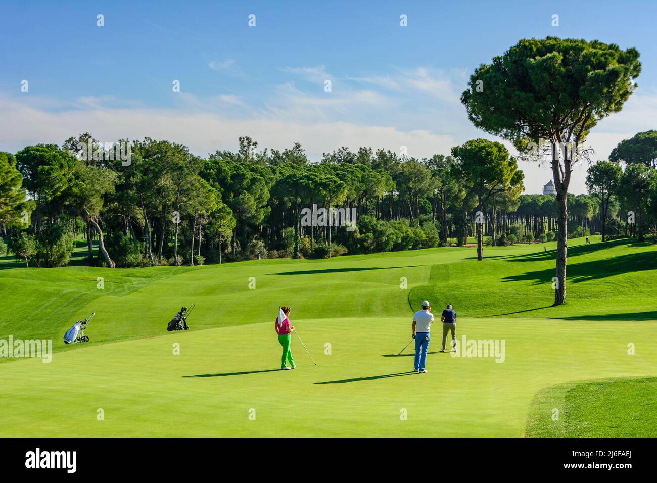 Golf flight playing on the green Stock Photo - Alamy