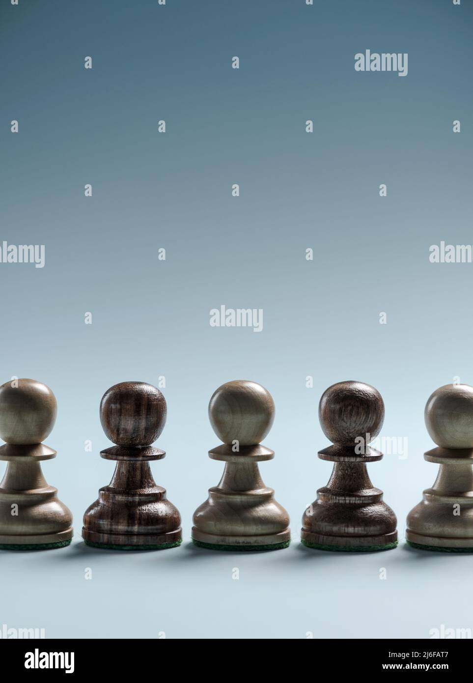 Black and white chess pawns standing together in line and blank copy ...