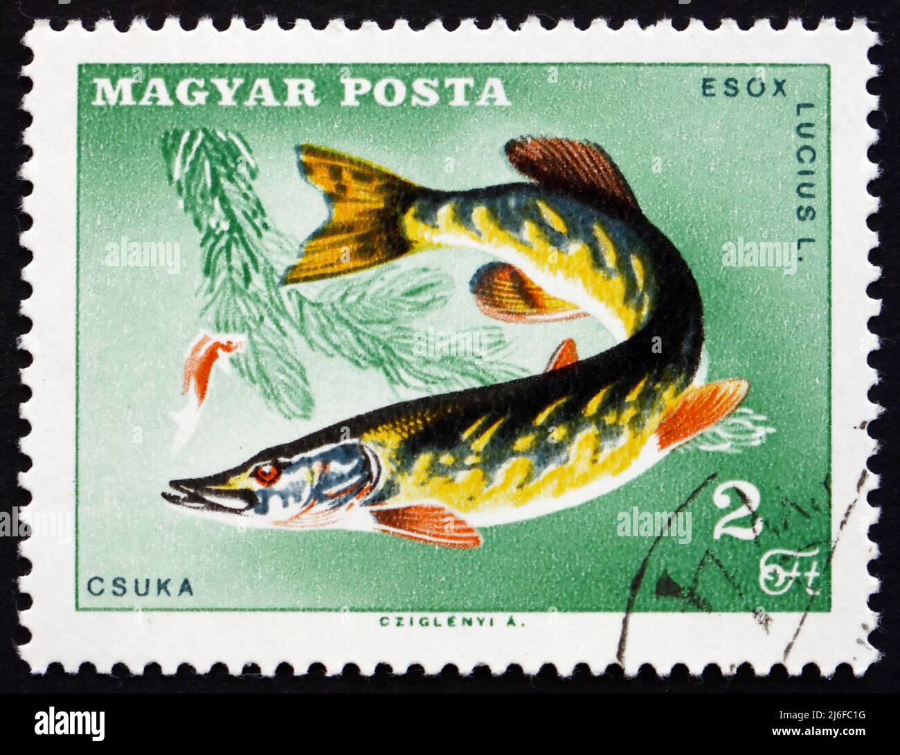 HUNGARY - CIRCA 1967: a stamp printed in the Hungary shows Northern ...