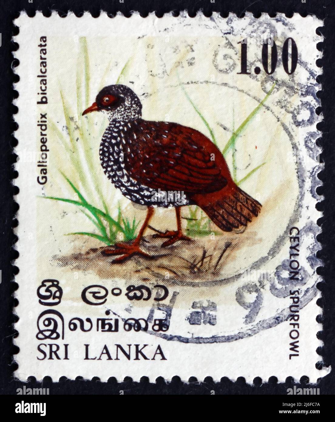 SRI LANKA - CIRCA 1979: a stamp printed in Sri Lanka shows Sri Lanka ...