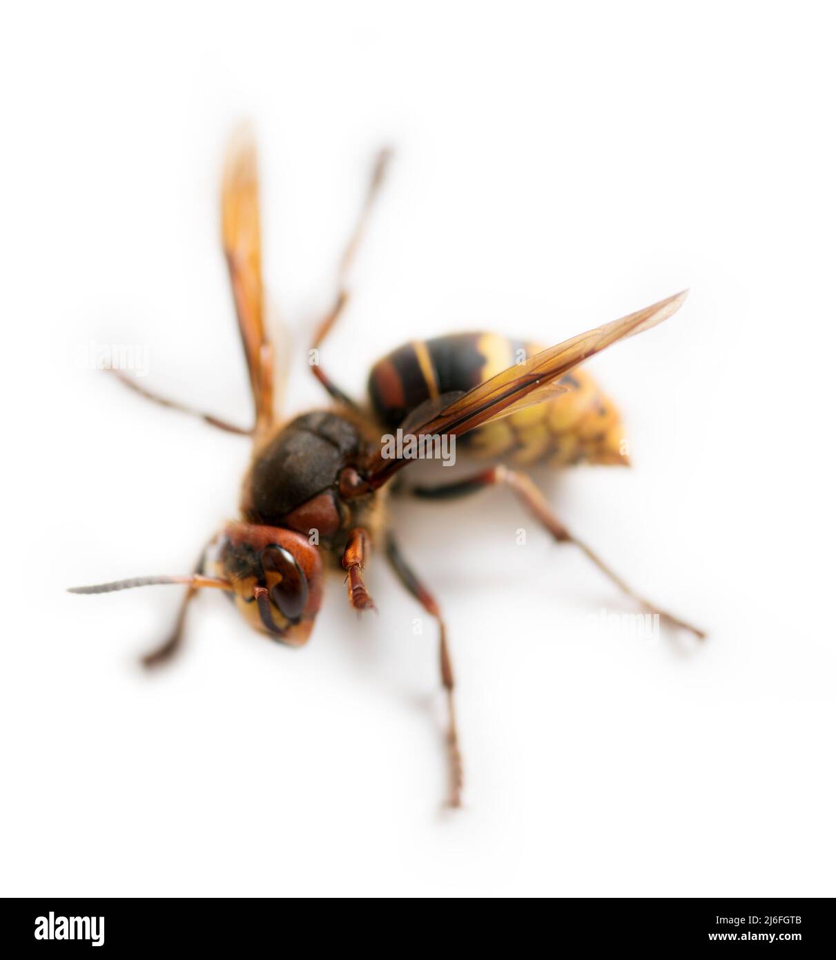 Bad Movement In Photography