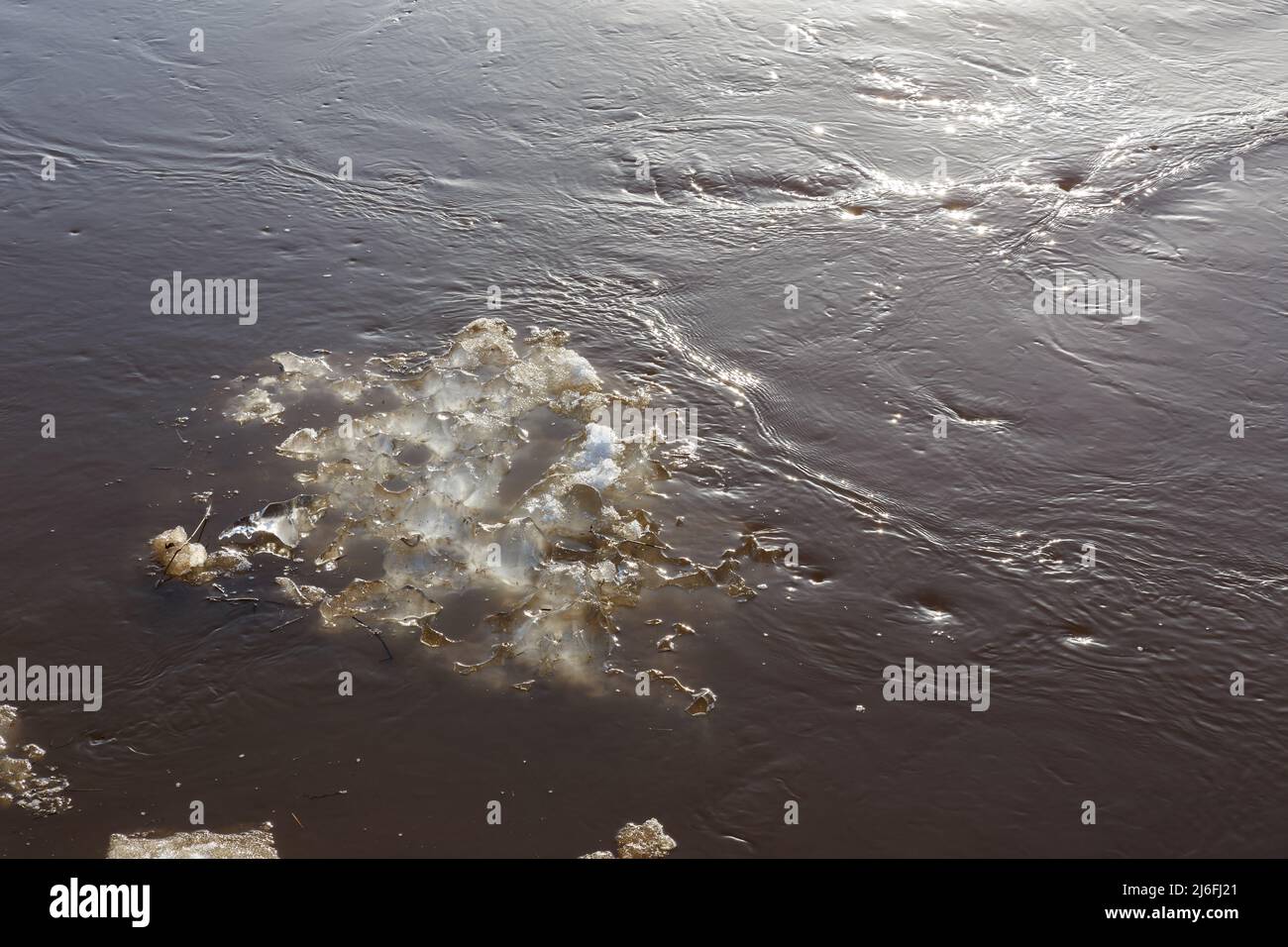 ice floe floating in the water. spring flood Stock Photo - Alamy