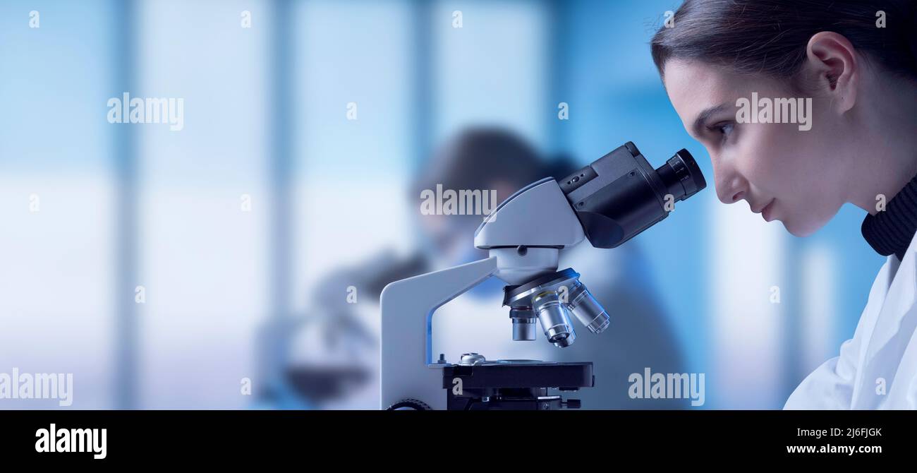 Young researcher working in the lab, she is looking through a ...