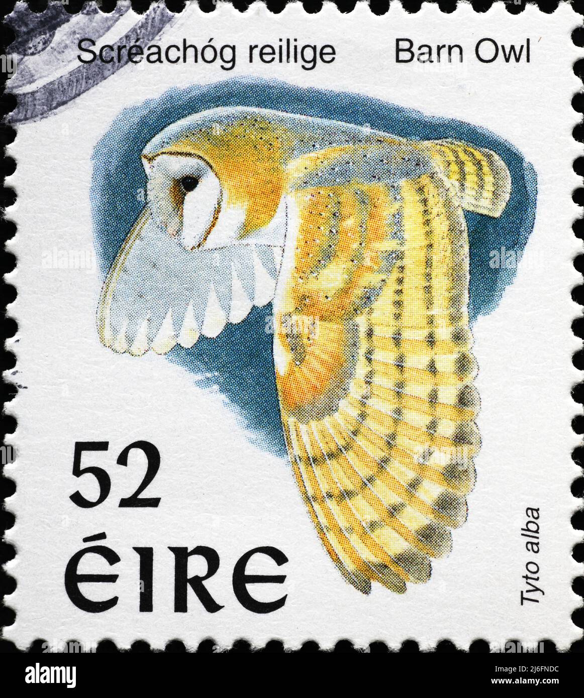 Barn owl in flight on irish postage stamp Stock Photo - Alamy
