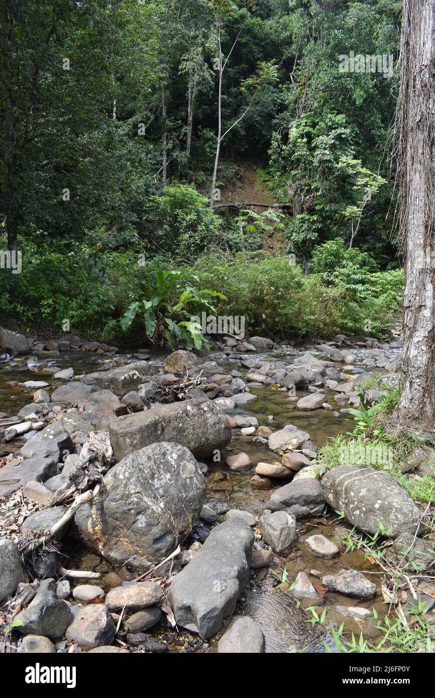 Toco, Trinidad and Tobago - March 26, 2022 - The Shark River located ...